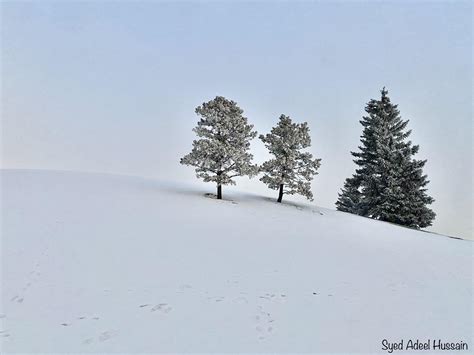 Calgary Alberta Scrolller Calgary Alberta Scrolller