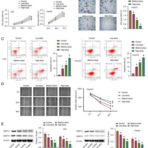 The Effects Of Quercetin On The Proliferation Apoptosis Invasion And