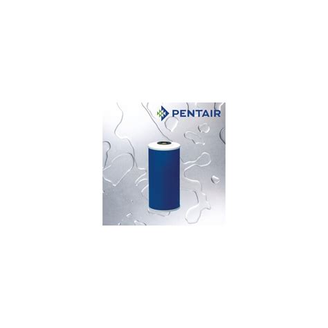 Pentair Pentek Gac Bb Carbon Filter Cartridge
