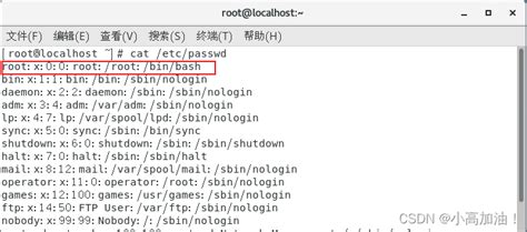 用户配置文件 etc passwd详解 配置文件passwd csdn博客