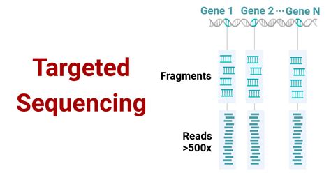 targeted sequencing principle steps methods uses diagram