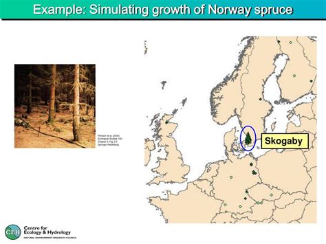 Ppt Bayesian Calibration And Comparison Of Process Based Forest