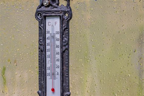 여름날 창문에 응축수 방울이있는 온실의 공기 온도를 보여주는 온도계의 클로즈업 뷰 스웨덴 0명에 대한 스톡 사진 및 기타 이미지 Istock