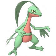 Pokemon Treecko PNG Clipart PNG All