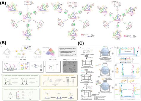 Advancements In Dna Computing Exploring Dna Logic Systems And Their