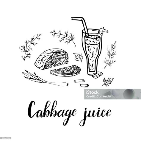 마시는 튜브 양배추 파슬리 딜 양파의 반 컷 머리와 야채 주스 의 유리 벡터 일러스트는 흰색 배경에 흑백 낙서 문자가있는 격리 된 컷 아웃 객체 0명에 대한 스톡 벡터 아트
