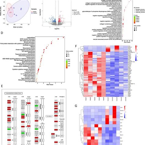 Transcriptomics Data Analysis A Pca Analysis Plot The Horizontal And