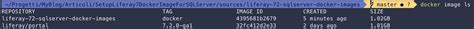 english how to build a docker liferay 7 2 image with the sql server