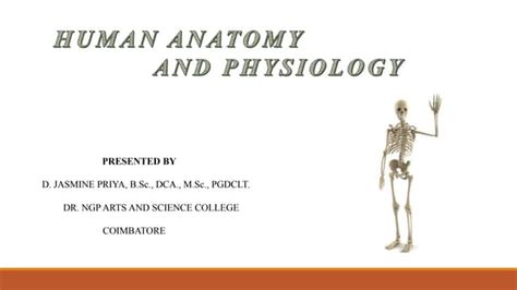 Ppt Introduction To Anatomy Physiology Powerpoint Ppt Introduction