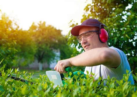 Tree Trimming Pruning Owens Brothers Tree Service Removal
