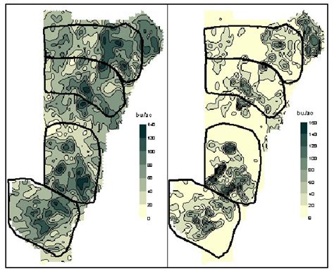Spatial Distribution Of Normalized Corn Grain Yields Darker Colors