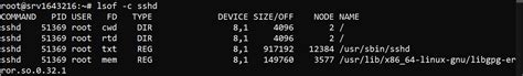 Lsof Command In Linux With Examples Ultahost Knowledge Base