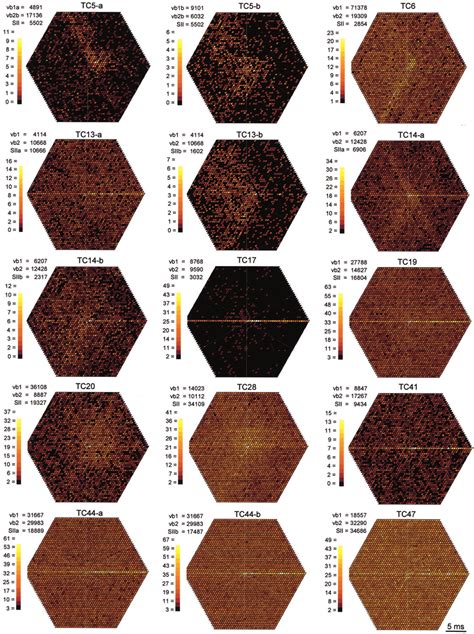 Variations In The Pattern Of Thalamocortical Coordination Recorded