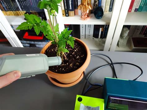 🌱🪴📲 Detect Chemical Fertilizer Contamination With Object Recognition And Get Notified Of The