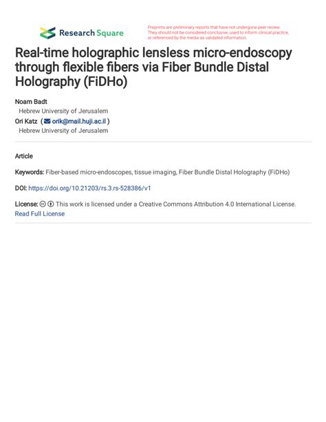 Pdf Real Time Holographic Lensless Micro Endoscopy Through Flexible Fibers Via Fiber Bundle