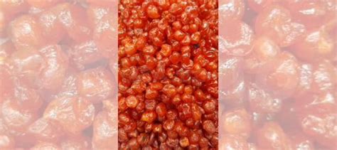 Вишня вяленая без косточки купить в Москве | Товары для дома и дачи | Авито
