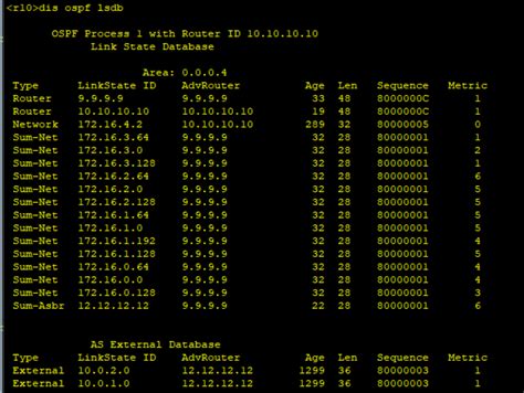 ospf综合实验 ospf 接口chap csdn博客