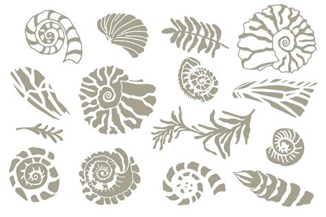 Fossil Vector Art Icons And Graphics For Free Download Fossil Vector Art Icons And Graphics For Free Download