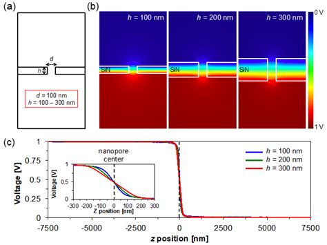 Pore Structures For High Throughput Nanopore Devices