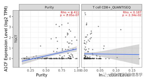 不用写代码也可以做免疫浸润分析神器持续输出中，timer20的教程来啦~~ 知乎