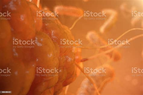 3d 그림 바이러스 박테리아 세포 감염 유기 체 면역 감소 공간에서 바이러스 추상적인 배경 3차원 형태에 대한 스톡 사진 및 기타 이미지 Istock