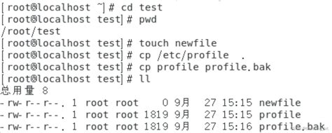 linux基本命令的使用 linux启动计算机 利用root用户登录到系统 进入字符提示界面。 csdn博客