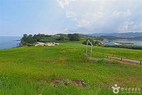 수성당유채꽃 Korea Trip Tips K Trip Tips