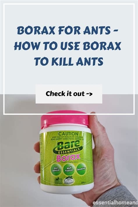 Borax For Ants How To Use Borax To Kill Ants Borax For Ants Kill