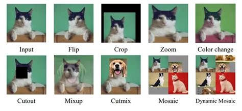 Understanding Mosaic Data Augmentation Analytics Vidhya