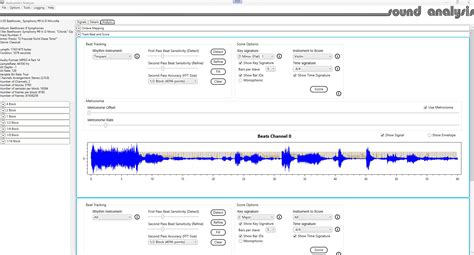 Audiophiles Analyzer Sound Analysis