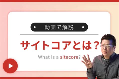 Cmsとは？cmsの基礎知識から導入時のチェックポイントまでを解説！ Sitecore構築・開発ならlyzonにお任せ