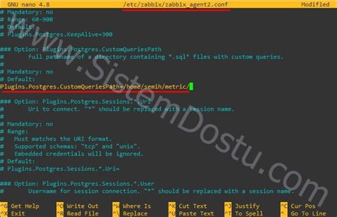 zabbix custom query ile postgresql sorgu Çekme sistem ve network