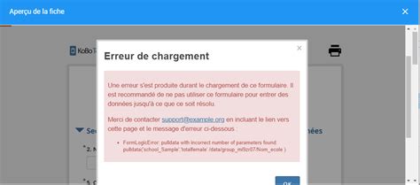 Automatic Display Form Building Kobotoolbox Community Forum