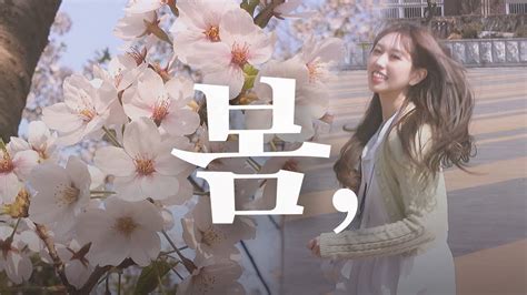 서경대 캠퍼스 스케치 🌸봄 서경 벚꽃 그리고 Youtube