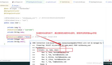 二MyBatis Plus 关于映射 Java Bean 对象的注意事项和细节 详细说明 知乎