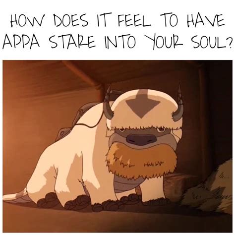 Appa Is Really Cute Thelastairbender