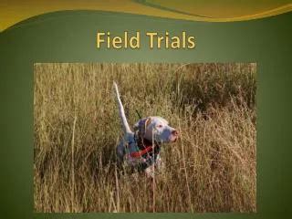 PPT Field Trials PowerPoint Presentation Free Download ID 5811337
