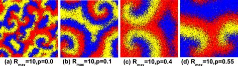 Color Online Snapshots Of The Reactive Steady State For M 1 × 10 − Download Scientific