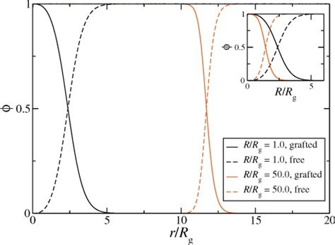 Curvature Effects Upon Interactions Of Polymer Grafted Nanoparticles In Chemically Identical