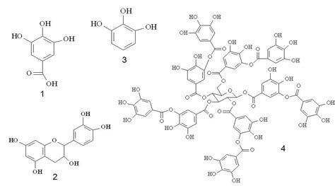 Folin Phenol Method At Steven Brothers Blog