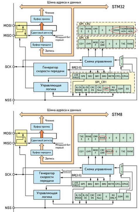 stm8 и stm32 — объединенное пространство 8 и 32 разрядных микроконтроллеров Компоненты и