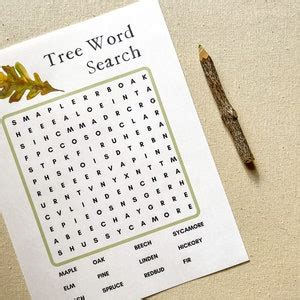 Printable Tree Word Search Types Of Trees Worksheet For Home Learning Educational Nature