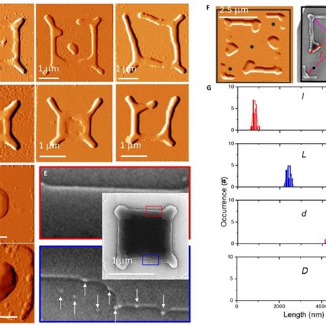 Pf 3d Simulations Of Solid State Dewetting Of Si On Sio 2 A Download Scientific Diagram