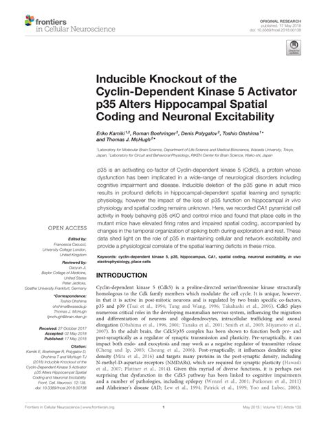 Pdf Inducible Knockout Of The Cyclin Dependent Kinase 5 Activator P35