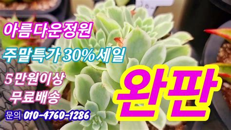 아름다운정원3탄 주말특가 전품목 30할인 5만원이상 무료배송 전국택배가능 득탬의기회 놓치면 후회합니다