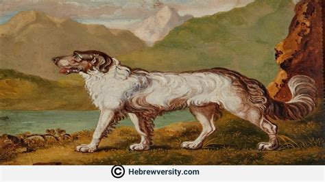 Calebs Hebrew Name Speaks Volumes A Story Of Loyalty And Faith The Meaning Of “caleb