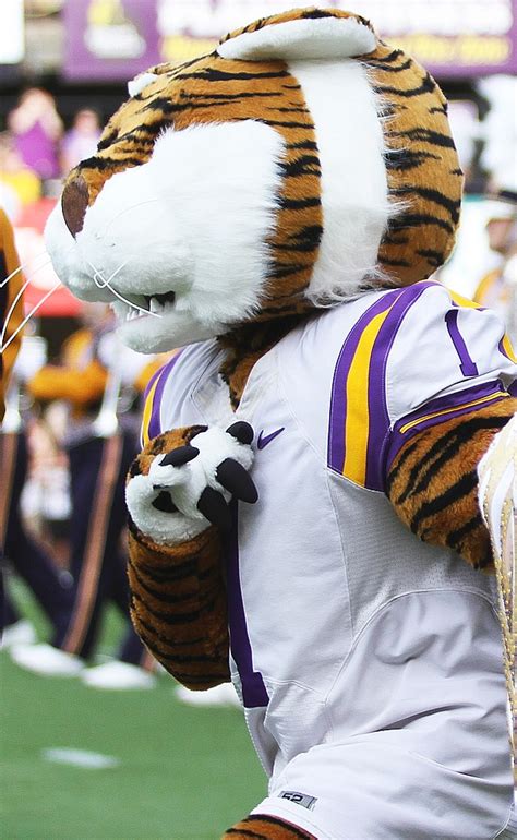 The 10 Best College Mascots Campus Insiders