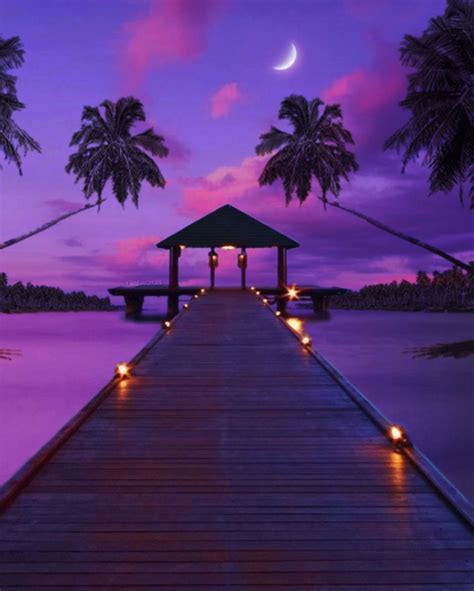 Purple Tropical Night Paisajes Agencias De Turismo Paisajes Morados