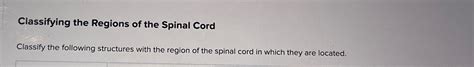 Solved Classifying The Regions Of The Spinal Cordclassify