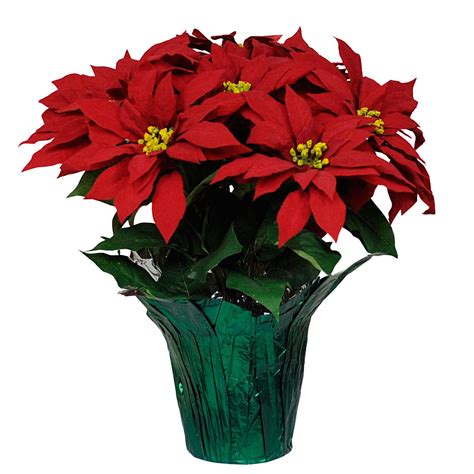 How To Make An Artificial Poinsettia Tree At Sharon Cordero Blog